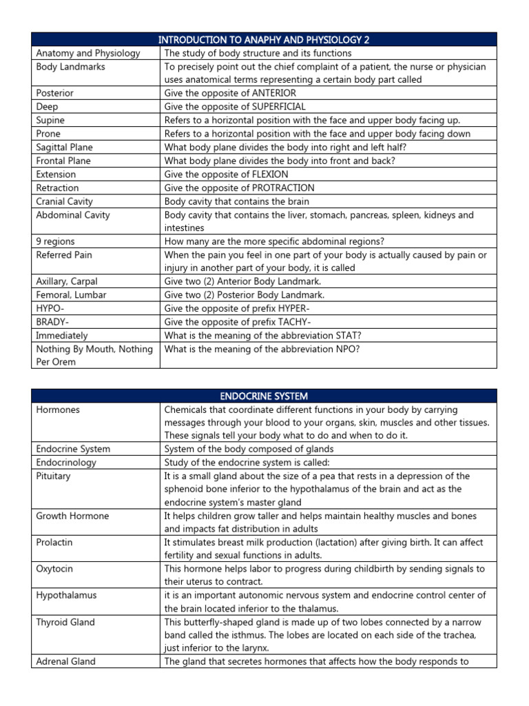 Midterms Reviewer Ana 2 Pdf Heart Endocrine System