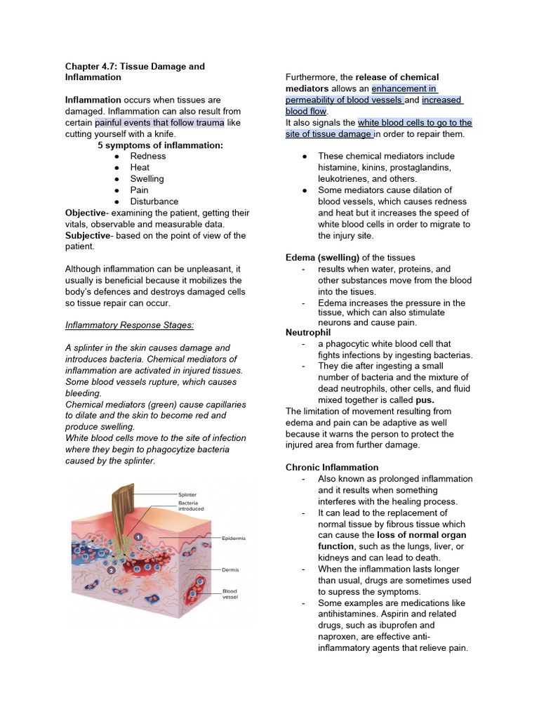Tissues-4 7 | PDF | Inflammation | Edema