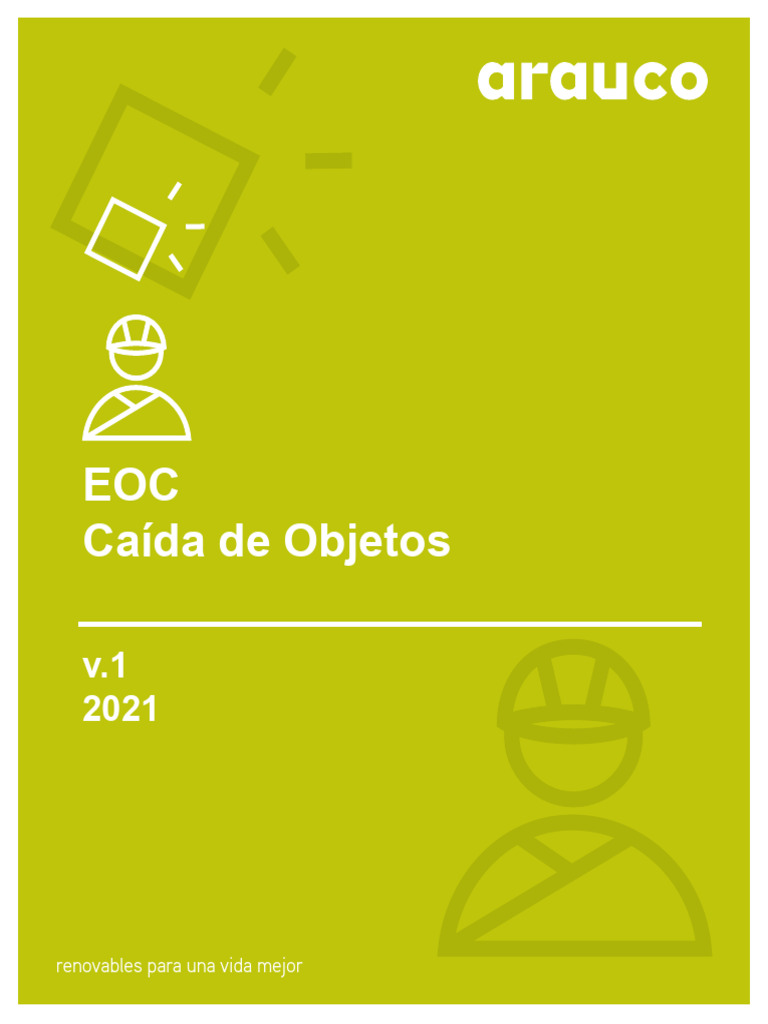 EOC Caida de Objetos | PDF | Auditoría