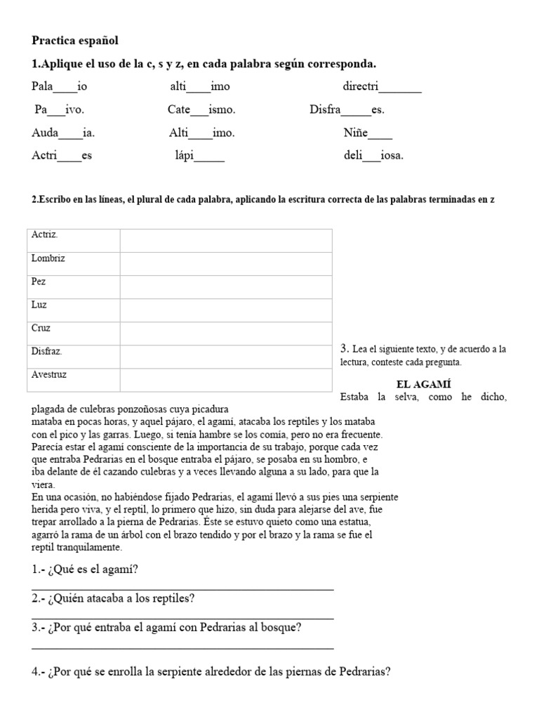 Practica Español | PDF