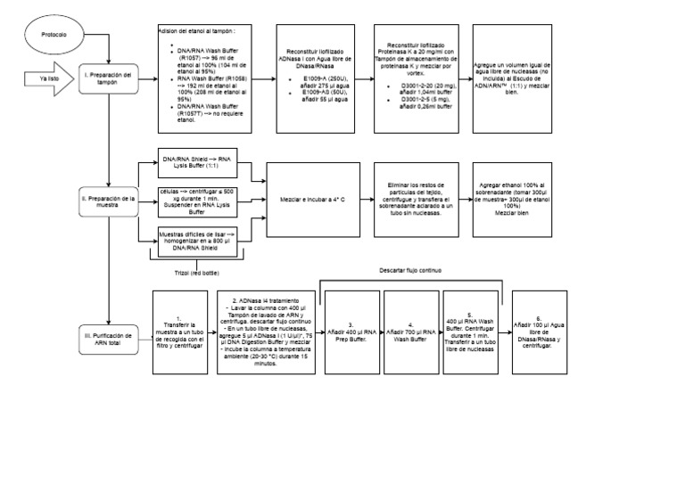 Protocolo PCR | PDF | Química | Ciencias de la vida