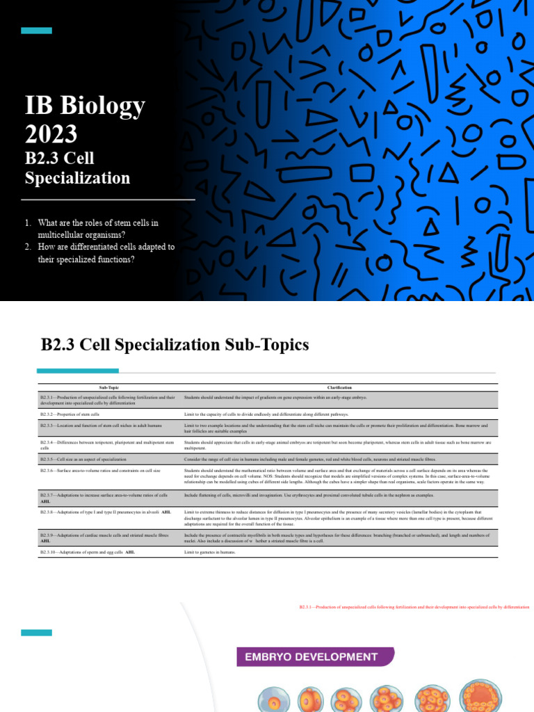 13 - IB Biology 2023 New Syllabus B2.3 Cell Specialization PowerPoint ...