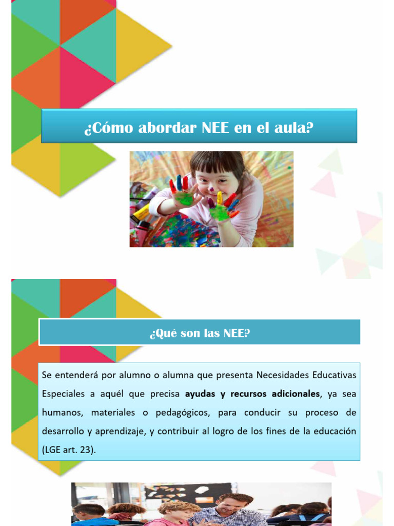 PPT-estrategias Abordar Nee en El Aula 08 | PDF | Evaluación | Aprendizaje