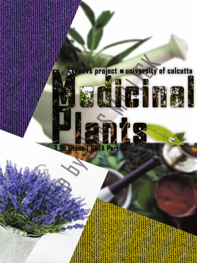 Cu Evs Project Medicinal Plants 2017 | PDF