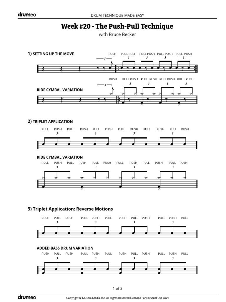Push Pull | PDF | Freedom Of Expression Law | Copyright Law