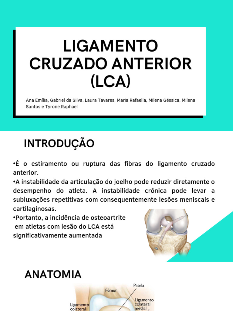 Ligamento Cruzado Anterior (Lca) | PDF | Joelho | Anatomia dos membros inferiores