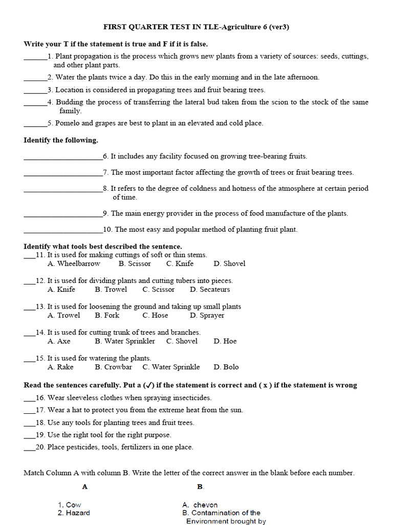 FIRST QUARTER TEST IN TLE-Agriculture 6 (Ver3) | PDF | Grafting | Sulfur