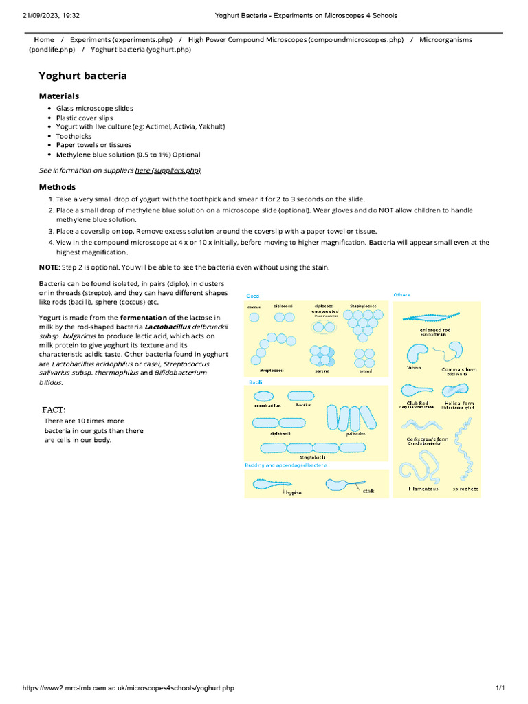 School Microscope Yoghurt Study | PDF | Wellness