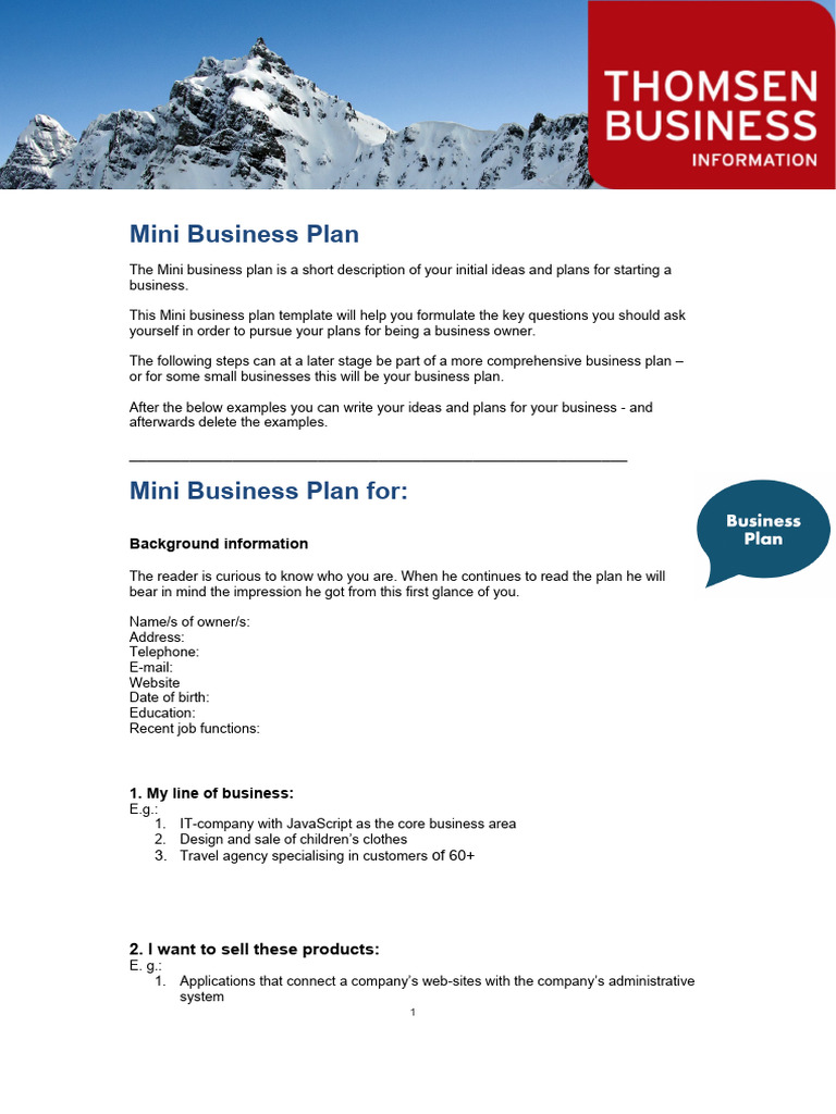 Mini Business Plan | Download Free PDF | Retail | Communication
