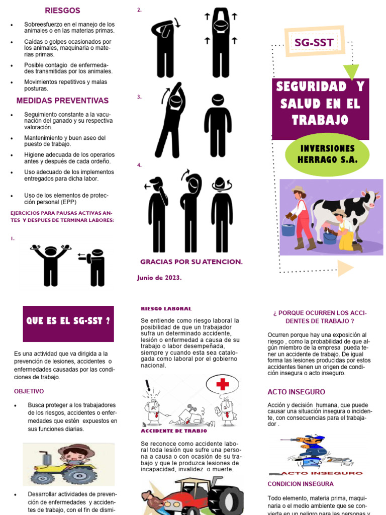 Folleto PDF | PDF | Riesgo | Medicina CLINICA