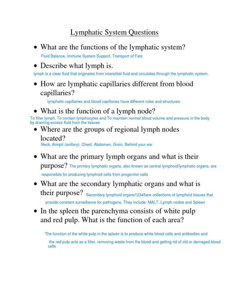 Lymphatic System Questions | PDF