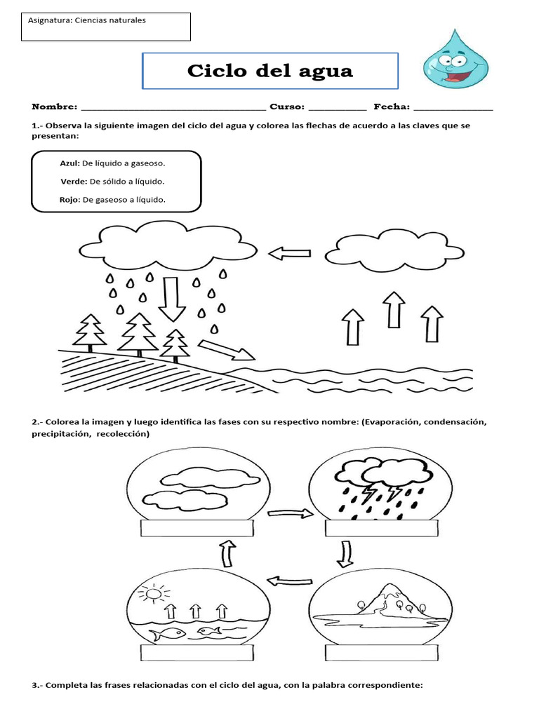 Guía Ciclo Del Agua 2° Basico | PDF