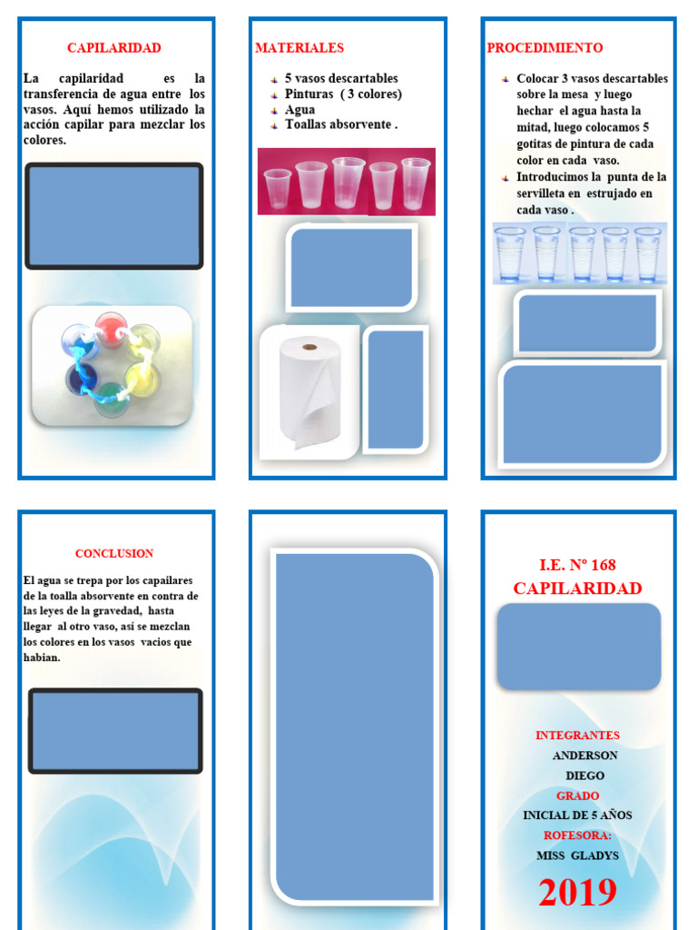 TRIPTICO EXPERIMENTO CAPILARIDAD | PDF