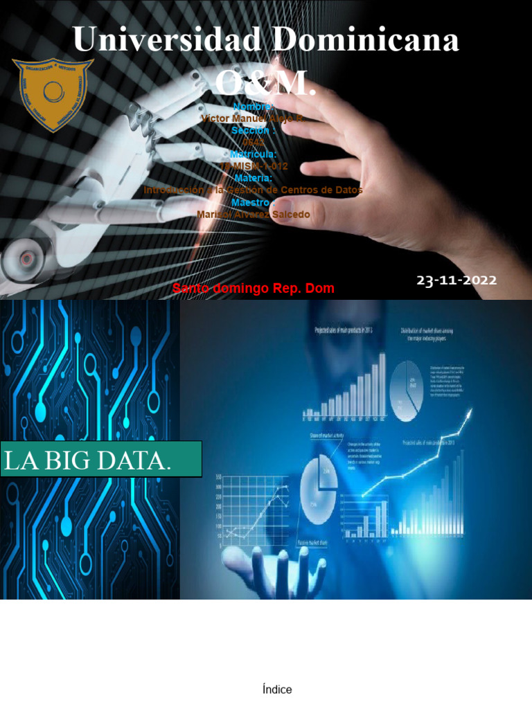 Big Data 1.0 | Descargar gratis PDF | Big Data | Business