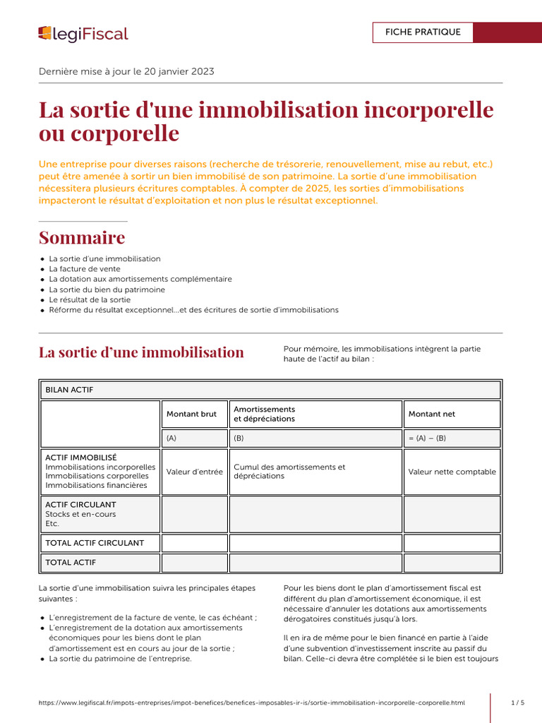 La Sortie D Une Immobilisation Incorporelle Ou Corporelle | PDF