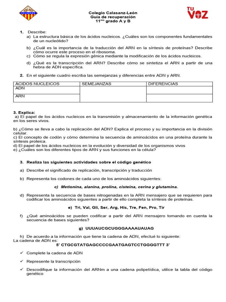 Guía de Recuperación de 11mo | PDF