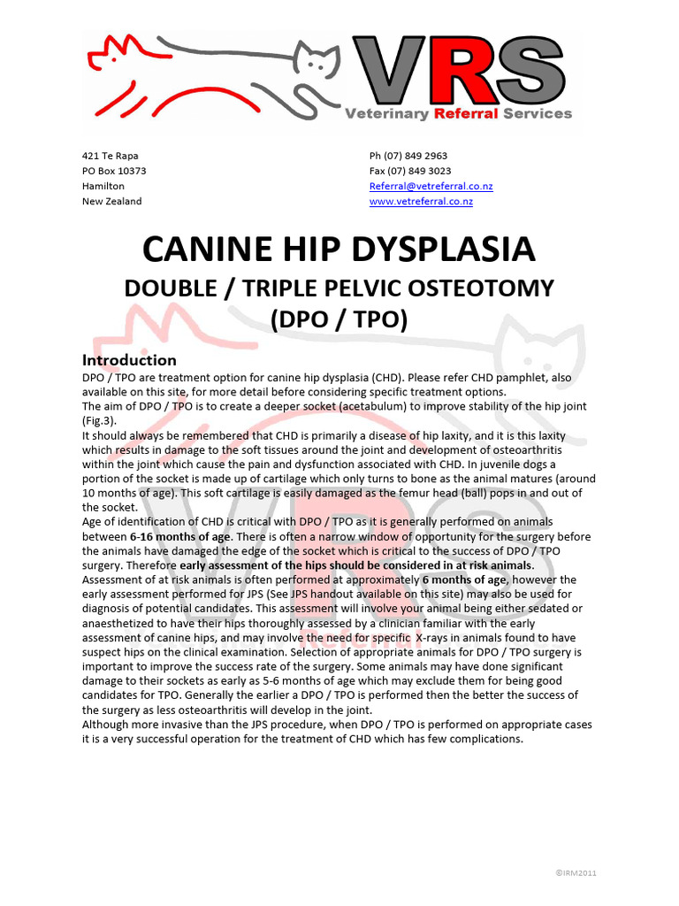 Double Triple Pelvic Osteotomy DPO TPO Handout | PDF Double Triple Pelvic Osteotomy DPO TPO Handout | PDF