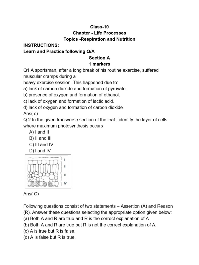 Biology Chapter Life Processes Class 10 | PDF | Cellular Respiration ...