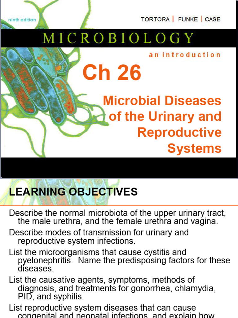 Microbial Diseases of The Urinary and Reproductive System | PDF ...