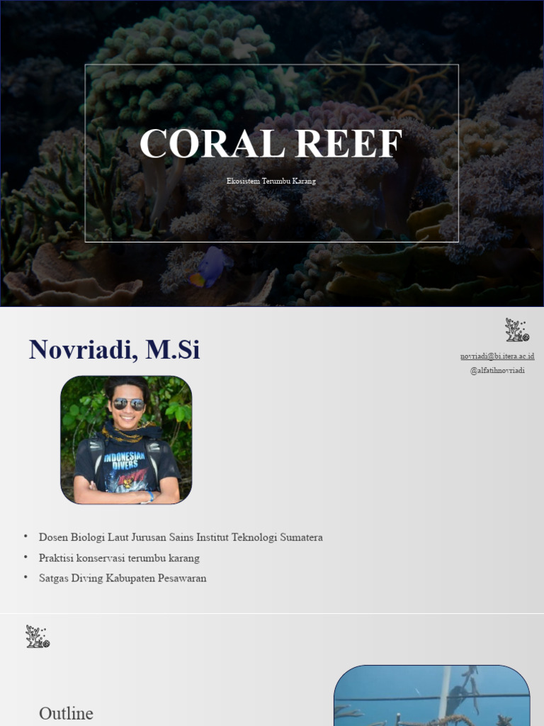 Coral Reefs | PDF