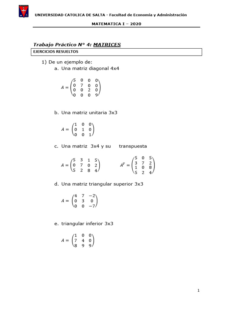 Ejercicios Resueltos de Matrices | PDF | Matriz (Matemáticas ...