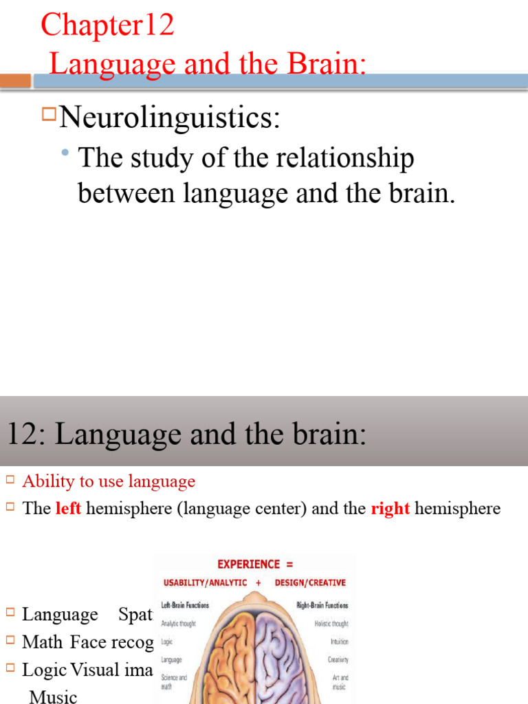Applied Linguistics Language and The Brain First Language ...