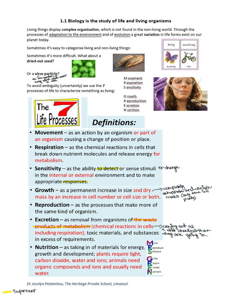 1.1 Mrs Gren and Classification | PDF | Cell (Biology) | Organisms