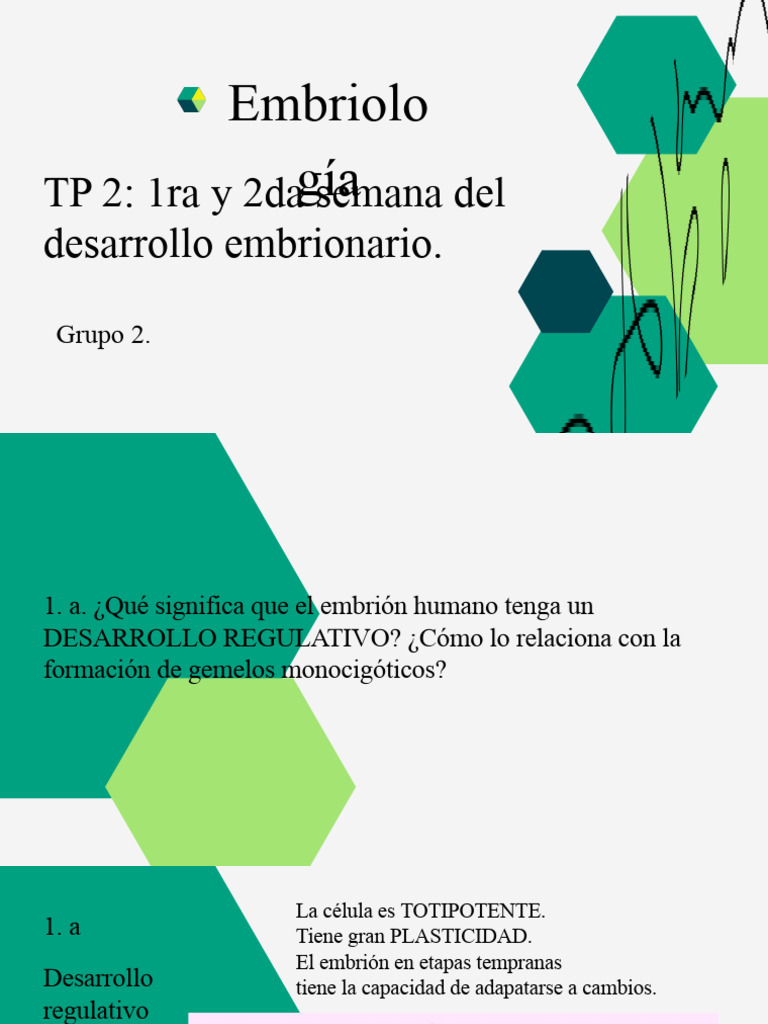 ppt embrio tp2_ | PDF