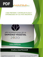 Ft-Progranic Mega | PDF | Las bacterias | Enzima