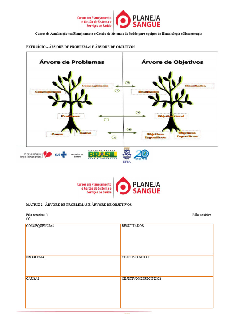 2 Matrizes - Árvore de problemas e árvore de objetivos | PDF