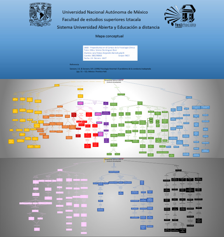 Jara Mapa Conceptual Perspectivas Teóricas Sobre La Conducta ...