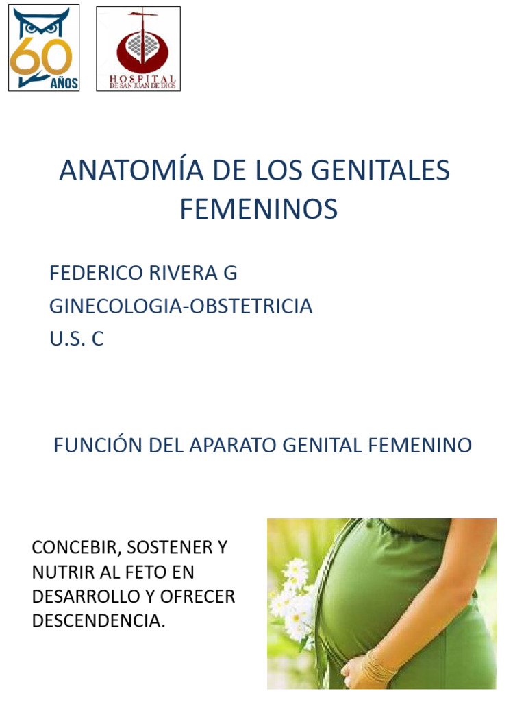Anatomia de Genitales F | PDF | Vagina | Labios