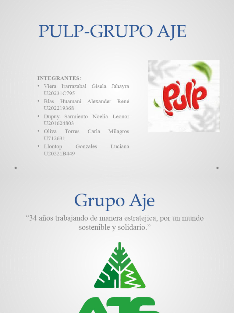 Pulp-Grupo Aje (1) 3 (2) Final | PDF | Presupuesto | Elasticidad (economía)