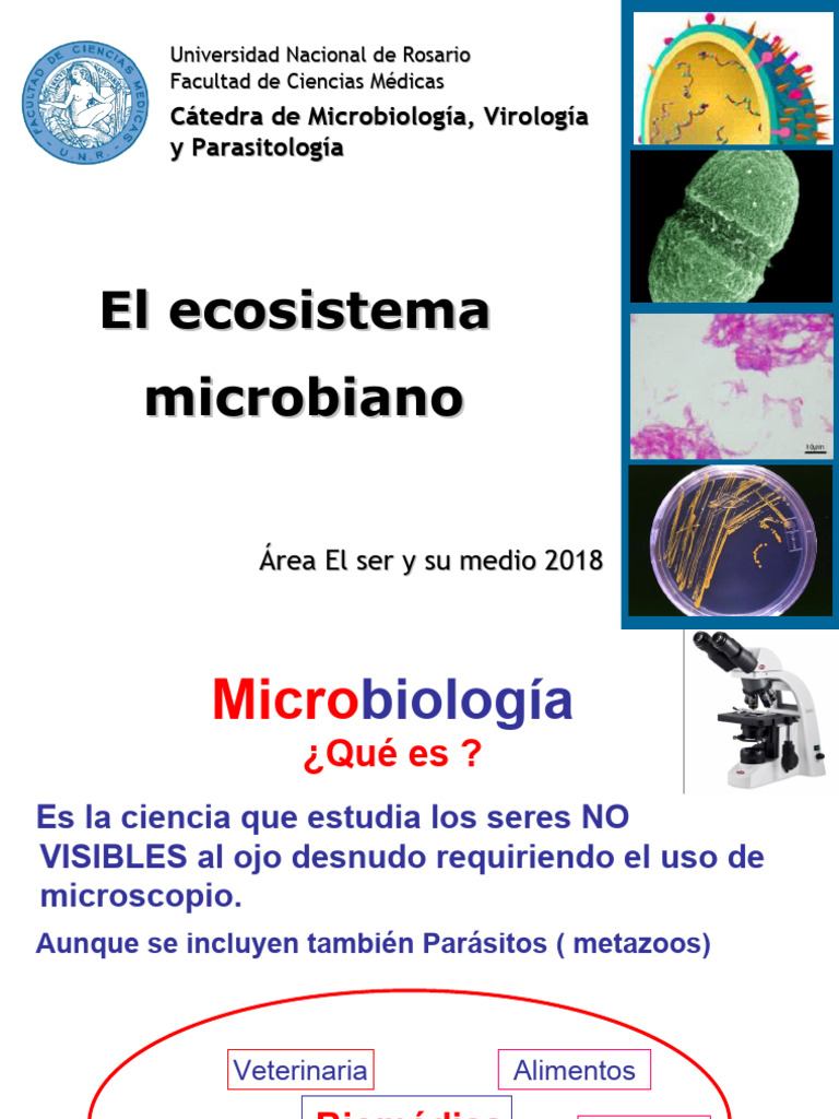 Microbiologia. Ecosistema Microbiano | PDF | Virus | Las bacterias