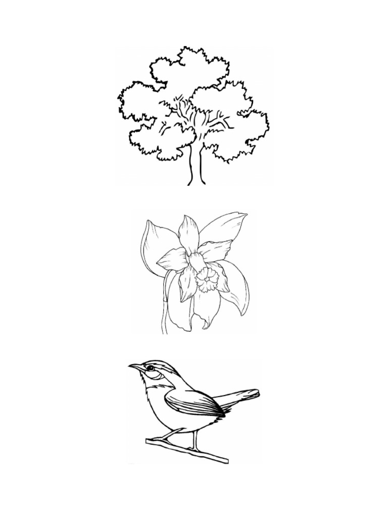 Símbolos Naturales | PDF