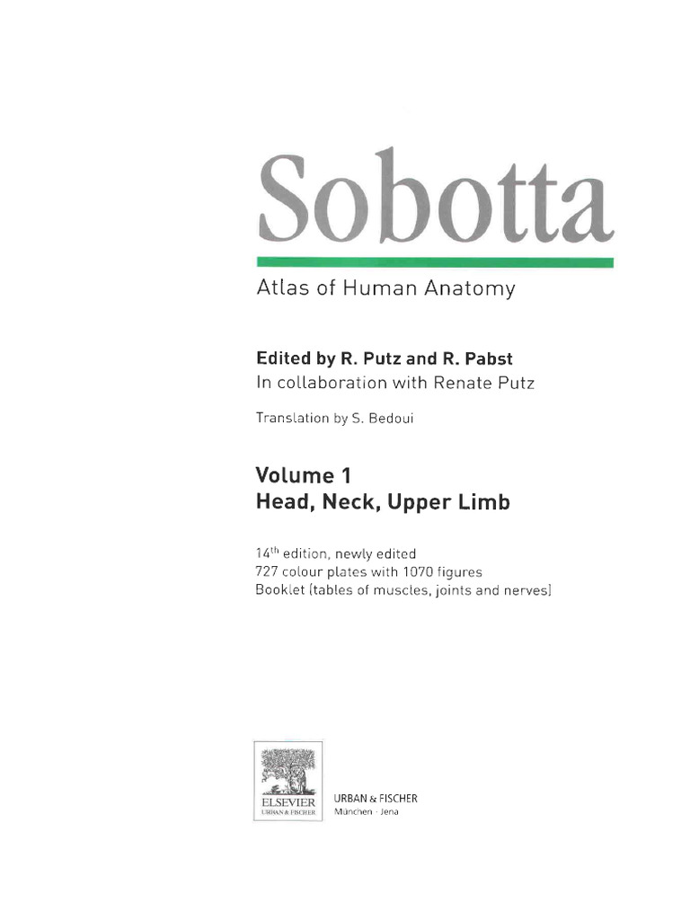 Anatomía Sobotta | PDF