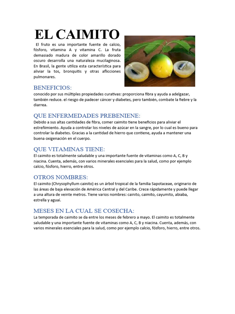 El Caimito | PDF | Salud y bienestar | Tecnología