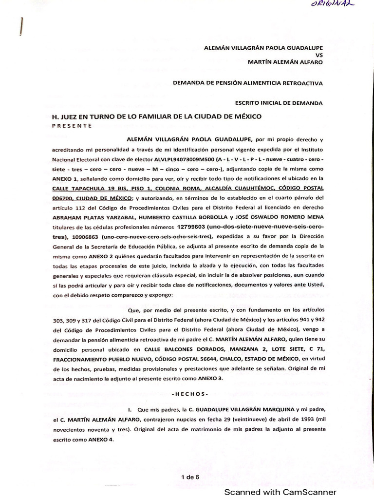 Demanda_Ejemplo | PDF