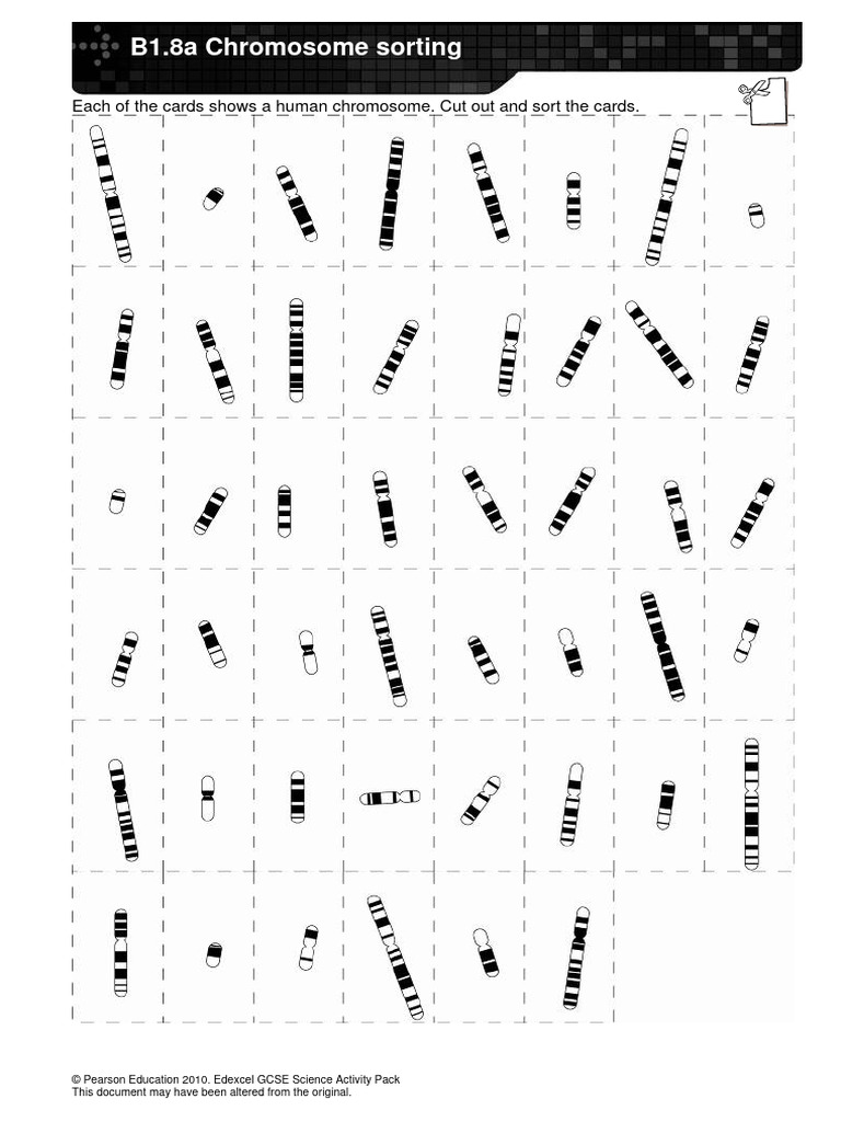 Genes | PDF | Gene | Chromosome
