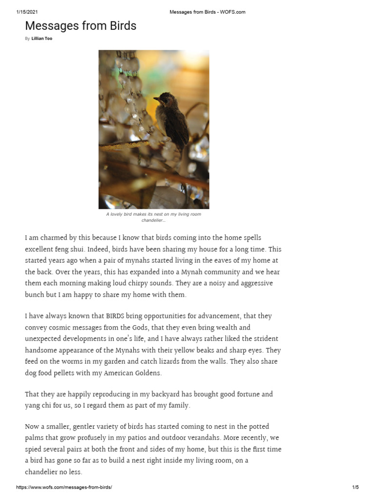 Messages From Birds | PDF | Birds