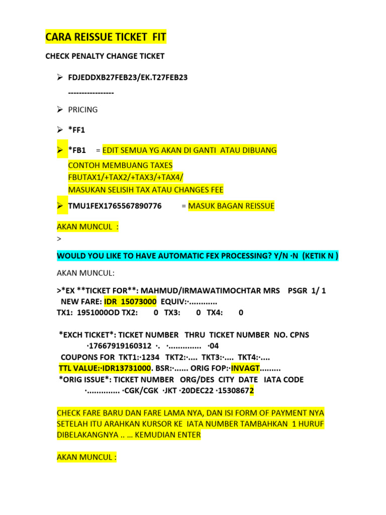 Cara Reissue Ticket Fit | PDF