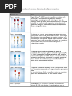 Tipos de Tubos Vacutainer | PDF | Medicina CLINICA | Fisiología