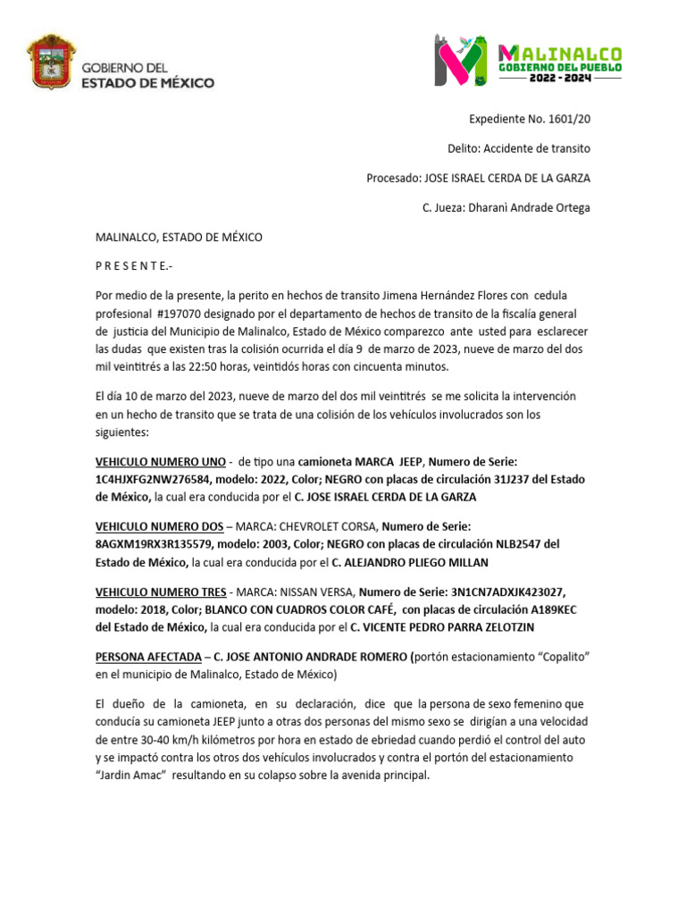 Dictamen Pericial | PDF | todoterreno | México
