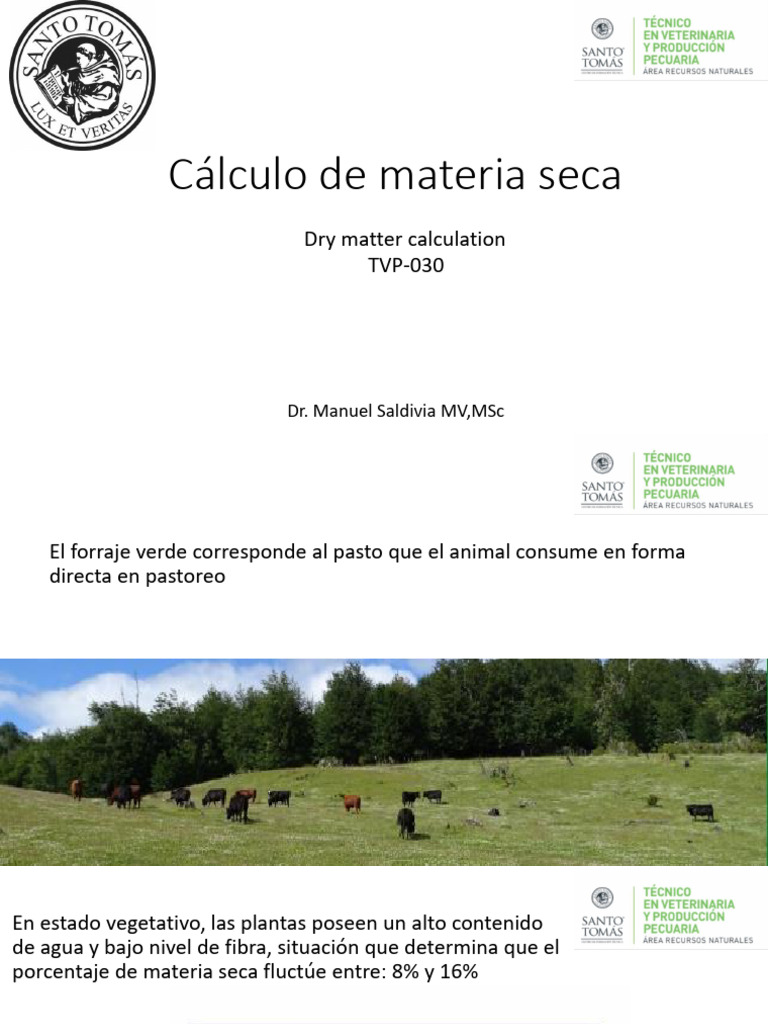 Clase Cálculo de Materia Seca | PDF
