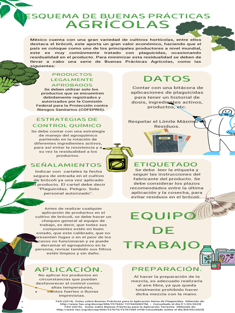 Esquema Buenas Practicas Agricolas. | PDF | Pesticida | Agricultura