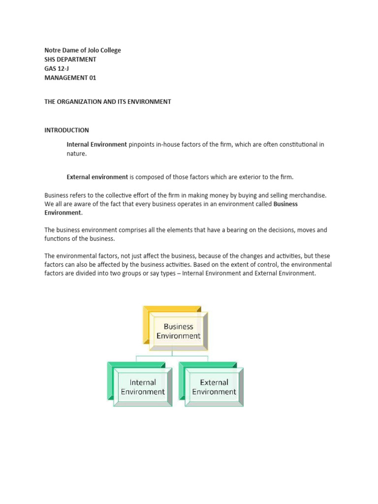 Organization and Its Environment | PDF | Marketing | Business Process