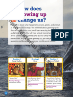 New Cornerstone | PDF
