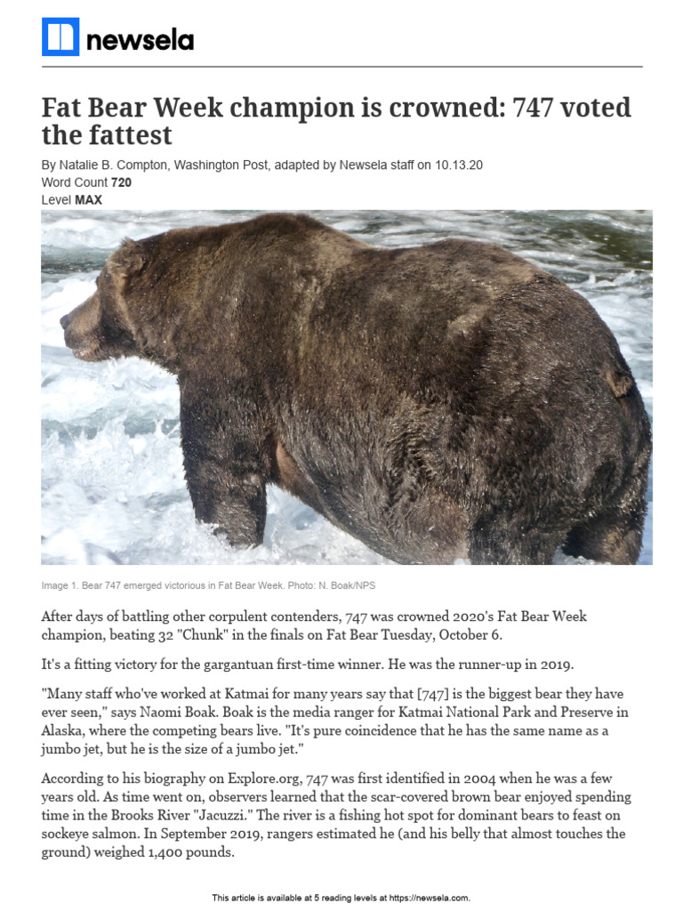 Fat Bear Week 2020 Champion 2001014578 Article - Quiz - and - Answers | PDF
