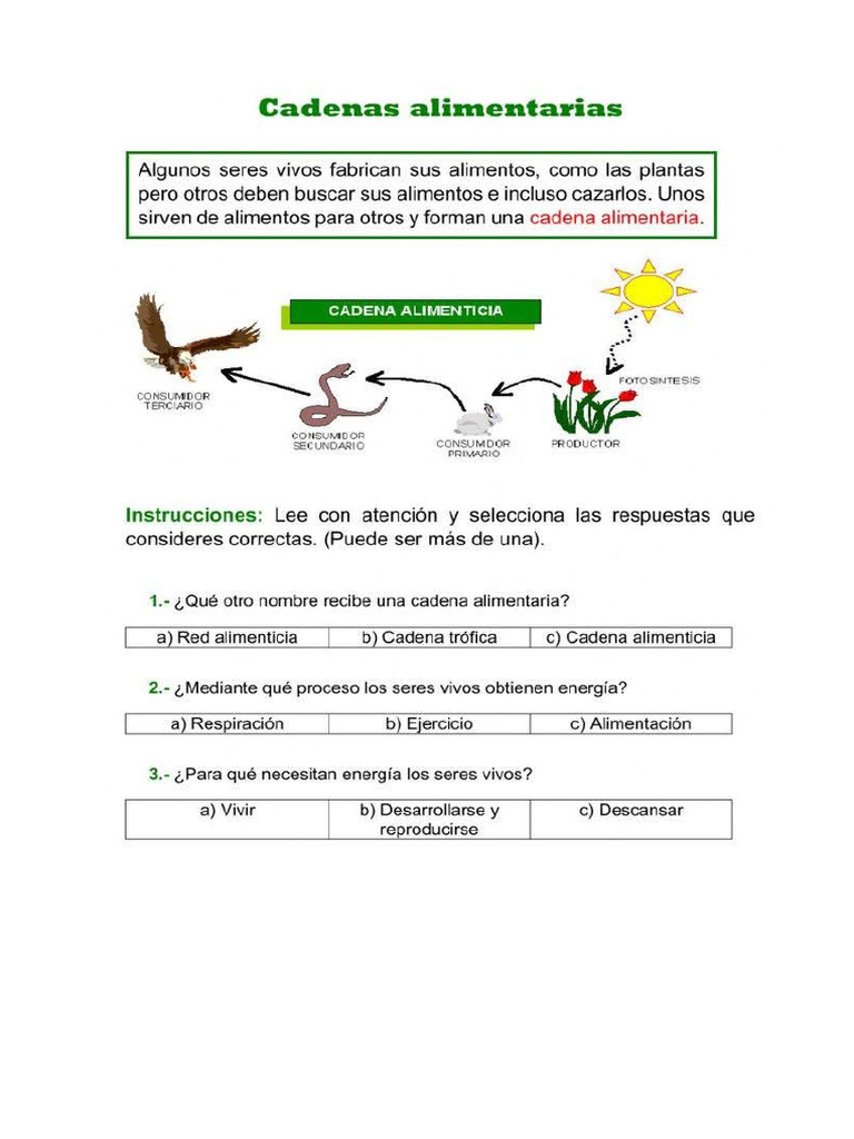 Cadena Alimenticia 2 | PDF