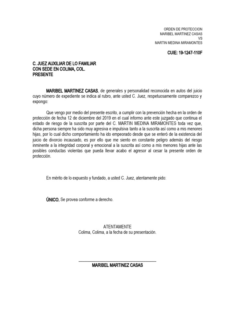 Orden de Proteccion Ampliacion | PDF